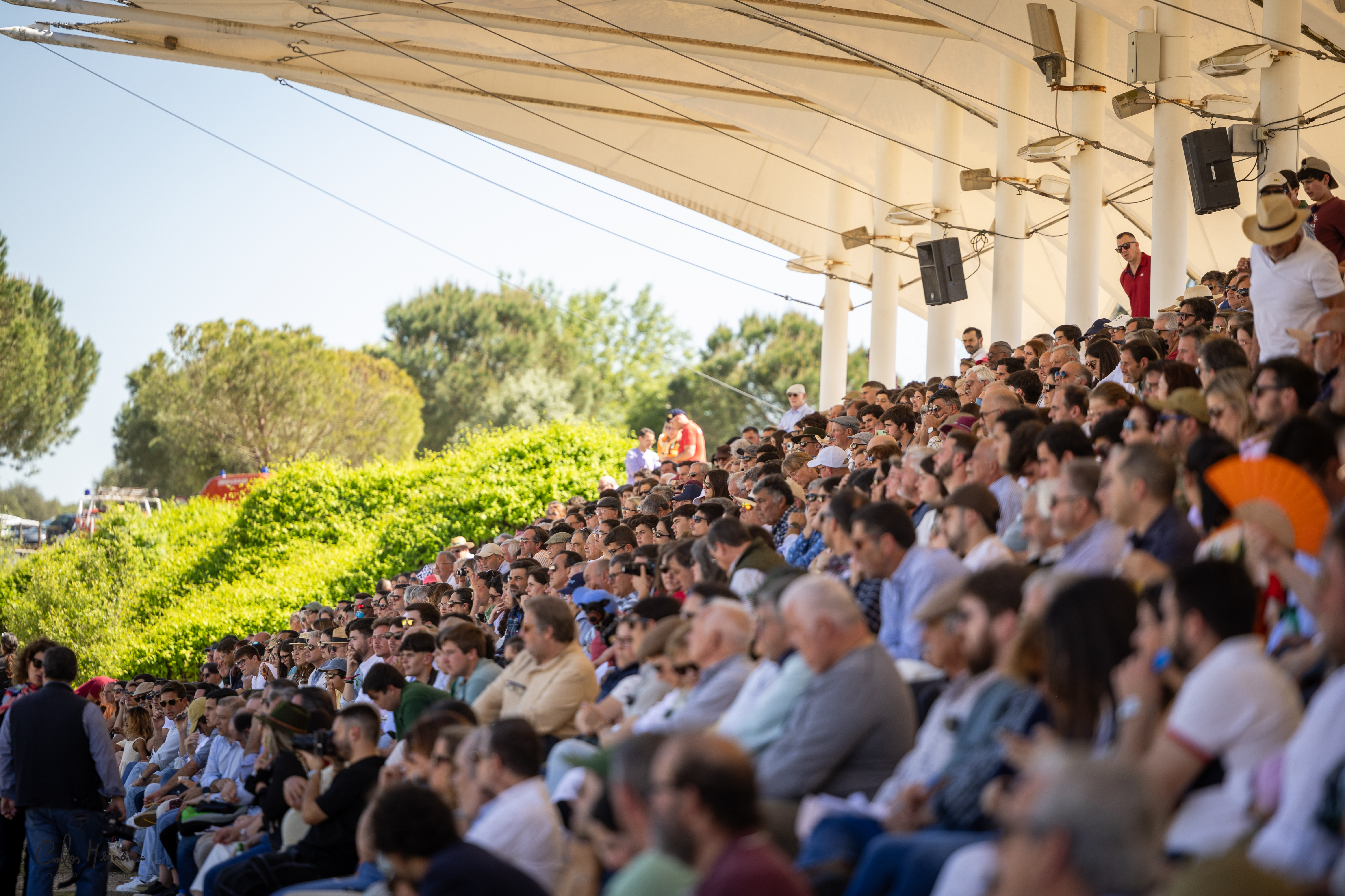 From Registration to Bidding: Your Guide to Alter Real Auction 2026 ...
