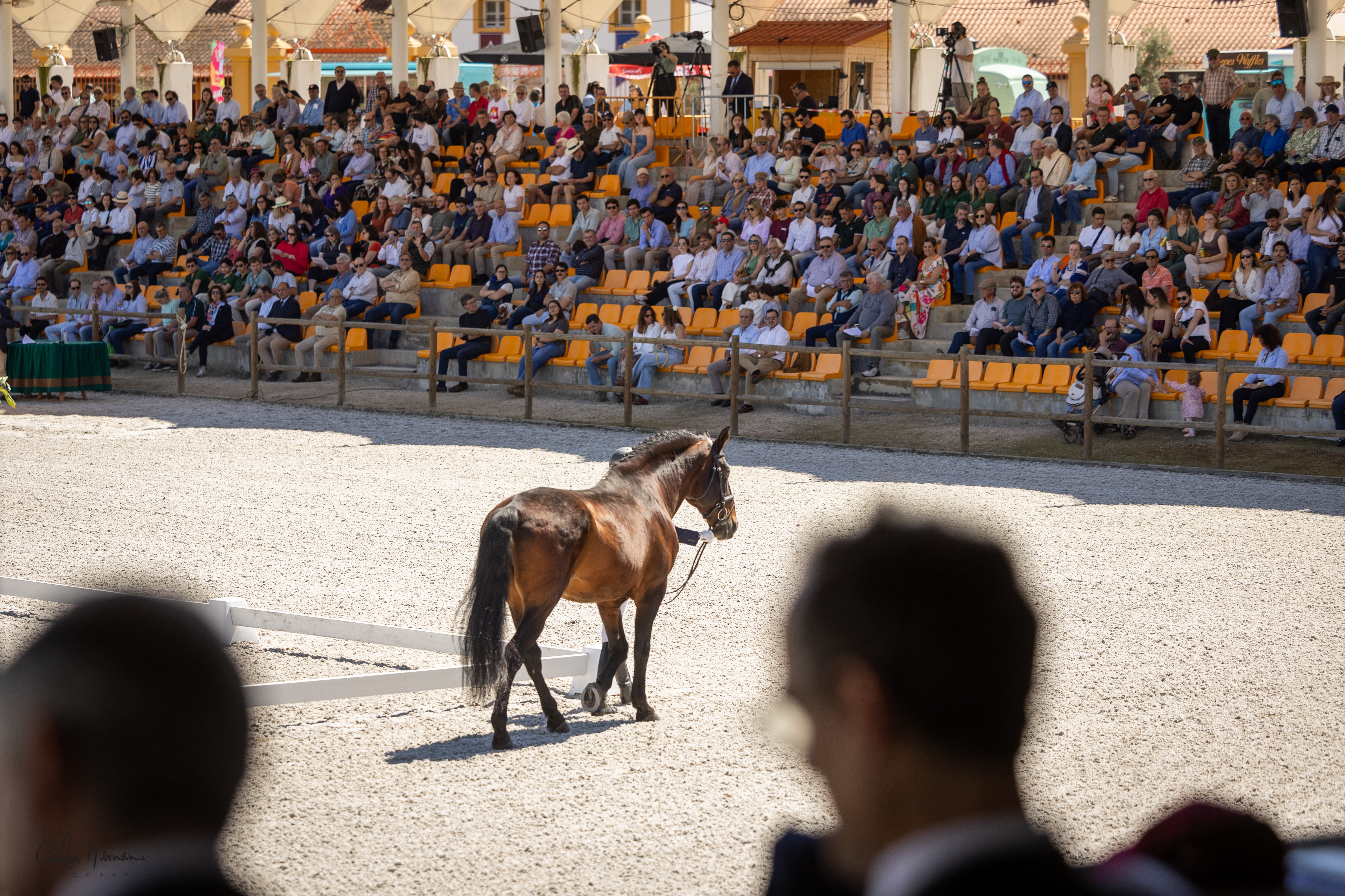 From Registration to Bidding: Your Guide to Alter Real Auction 2026 ...
